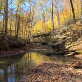 Rock Run Loop, Kentucky - 181 Reviews, Map | AllTrails