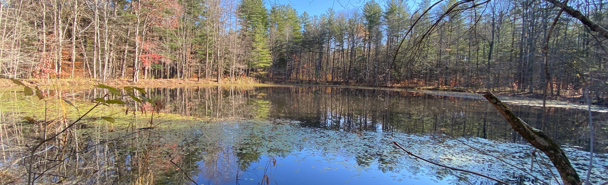 AllTrails | Cope Hollow Loop Trail: 24 Reviews, Map - Indiana