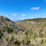 Savage Gulf Extended Loop, Tennessee - 48 Reviews, Map | AllTrails