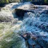Savage Gulf Extended Loop, Tennessee - 48 Reviews, Map | AllTrails