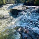 Savage Gulf Extended Loop, Tennessee - 48 Reviews, Map | AllTrails