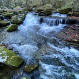 Savage Gulf Extended Loop, Tennessee - 48 Reviews, Map | AllTrails