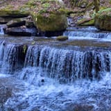 Savage Gulf Extended Loop, Tennessee - 48 Reviews, Map | AllTrails