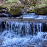 Savage Gulf Extended Loop, Tennessee - 48 Reviews, Map | AllTrails