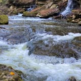 Savage Gulf Extended Loop, Tennessee - 48 Reviews, Map | AllTrails