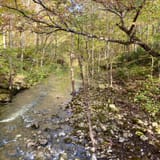 Savage Gulf Extended Loop, Tennessee - 48 Reviews, Map | AllTrails