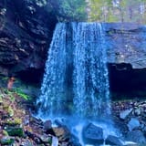 Savage Gulf Extended Loop, Tennessee - 48 Reviews, Map | AllTrails