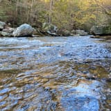 Savage Gulf Extended Loop, Tennessee - 48 Reviews, Map | AllTrails