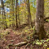 Savage Gulf Extended Loop, Tennessee - 48 Reviews, Map | AllTrails