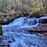 Savage Gulf Extended Loop, Tennessee - 48 Reviews, Map | AllTrails