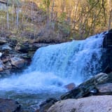 Savage Gulf Extended Loop, Tennessee - 48 Reviews, Map | AllTrails