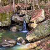 Savage Gulf Extended Loop, Tennessee - 48 Reviews, Map | AllTrails