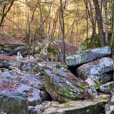 Savage Gulf Extended Loop, Tennessee - 48 Reviews, Map | AllTrails