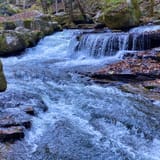 Savage Gulf Extended Loop, Tennessee - 48 Reviews, Map | AllTrails