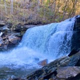 Savage Gulf Extended Loop, Tennessee - 48 Reviews, Map | AllTrails