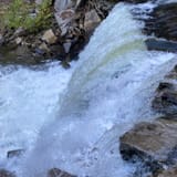 Savage Gulf Extended Loop, Tennessee - 48 Reviews, Map | AllTrails