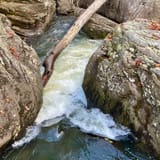 Savage Gulf Extended Loop, Tennessee - 48 Reviews, Map | AllTrails