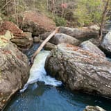 Savage Gulf Extended Loop, Tennessee - 48 Reviews, Map | AllTrails