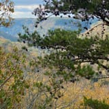Savage Gulf Extended Loop, Tennessee - 48 Reviews, Map | AllTrails