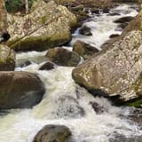 Savage Gulf Extended Loop, Tennessee - 48 Reviews, Map | AllTrails