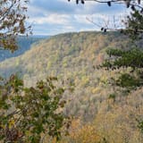 Savage Gulf Extended Loop, Tennessee - 48 Reviews, Map | AllTrails