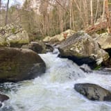 Savage Gulf Extended Loop, Tennessee - 48 Reviews, Map | AllTrails