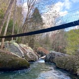 Savage Gulf Extended Loop, Tennessee - 48 Reviews, Map | AllTrails