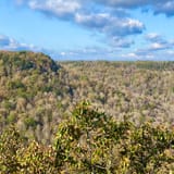 Savage Gulf Extended Loop, Tennessee - 48 Reviews, Map | AllTrails