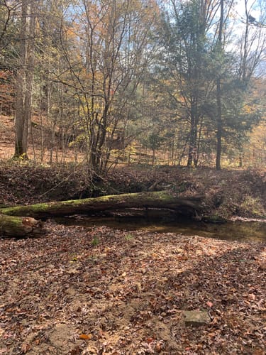 Best 10 Hikes and Trails in Hocking State Forest | AllTrails