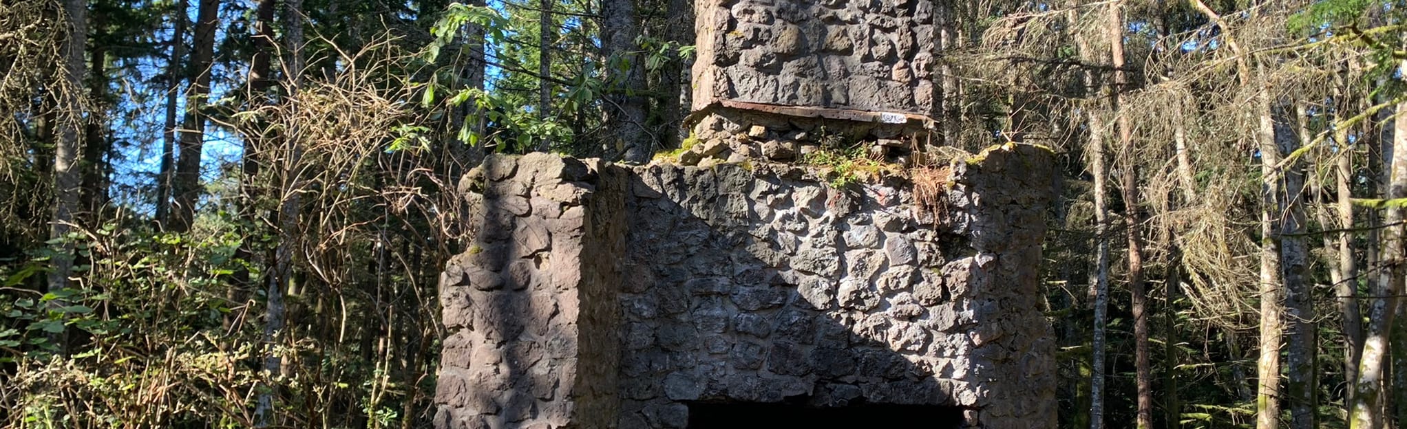Squak Mountain Fireplace Trail | Map, Guide - Washington | AllTrails