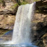 Savage Gulf Extended Loop, Tennessee - 48 Reviews, Map | AllTrails