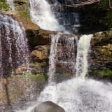 Savage Gulf Extended Loop, Tennessee - 48 Reviews, Map | AllTrails