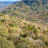 Savage Gulf Extended Loop, Tennessee - 48 Reviews, Map | AllTrails