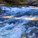 Savage Gulf Extended Loop, Tennessee - 48 Reviews, Map | AllTrails