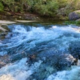 Savage Gulf Extended Loop, Tennessee - 48 Reviews, Map | AllTrails