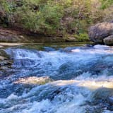 Savage Gulf Extended Loop, Tennessee - 49 Reviews, Map | AllTrails