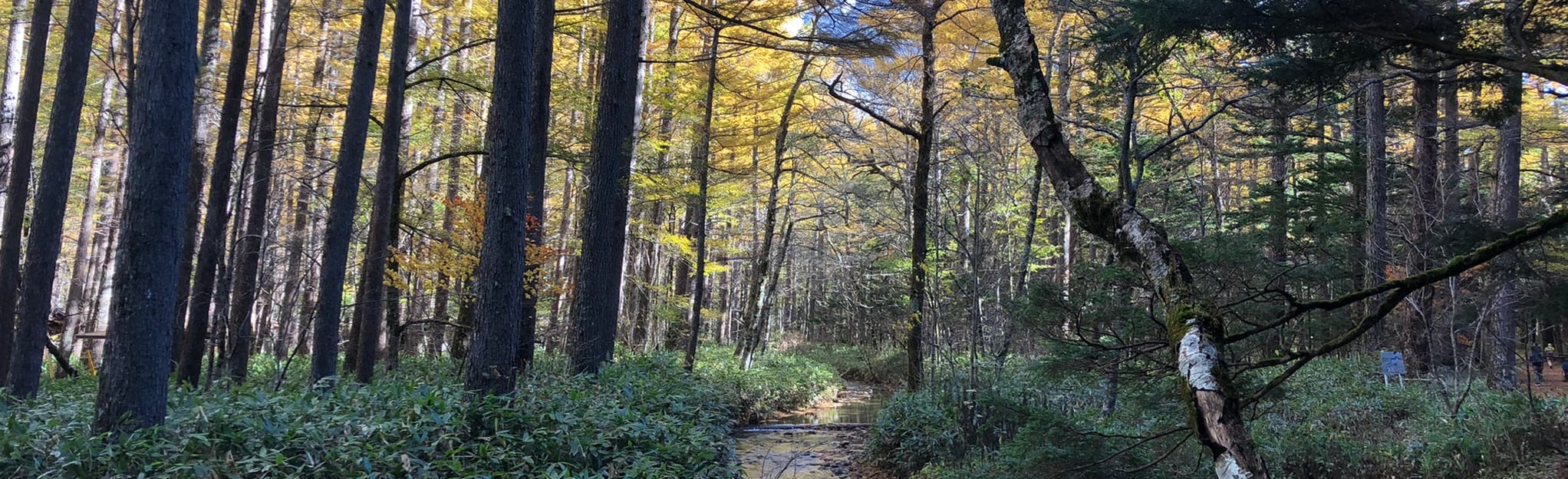 Mount Chogatake - Mount Otaki - Kamikochi Loop: 0 Reviews, Map - Nagano ...