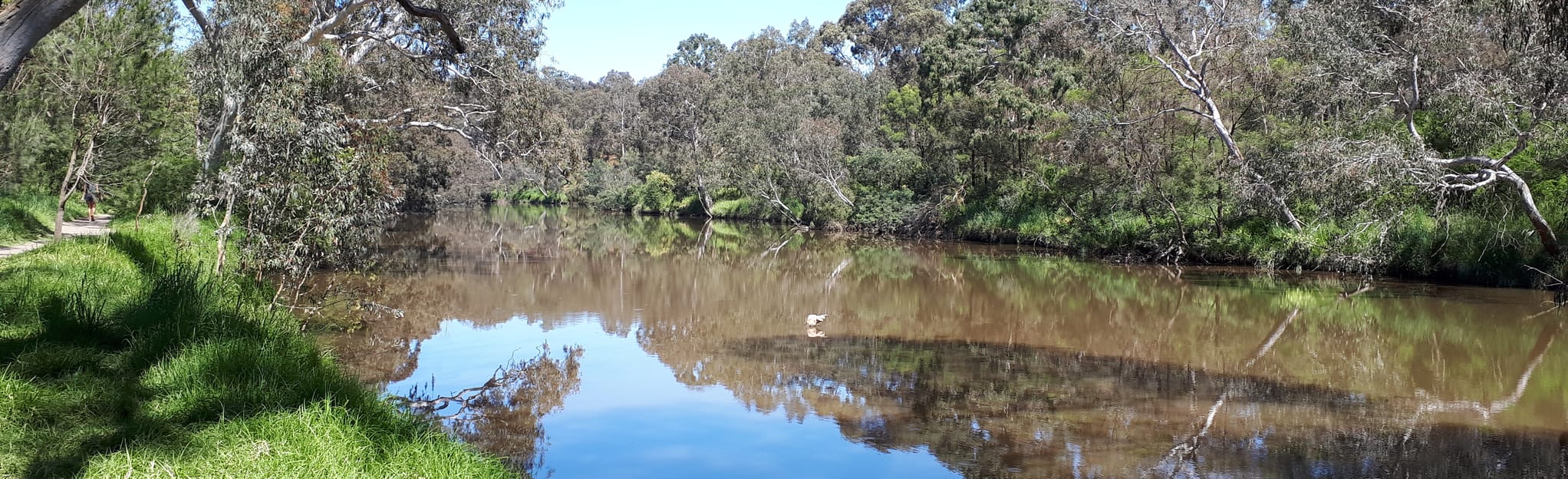 Galatea Point & Dights Falls Loop: 429 foton – Victoria, Australia ...