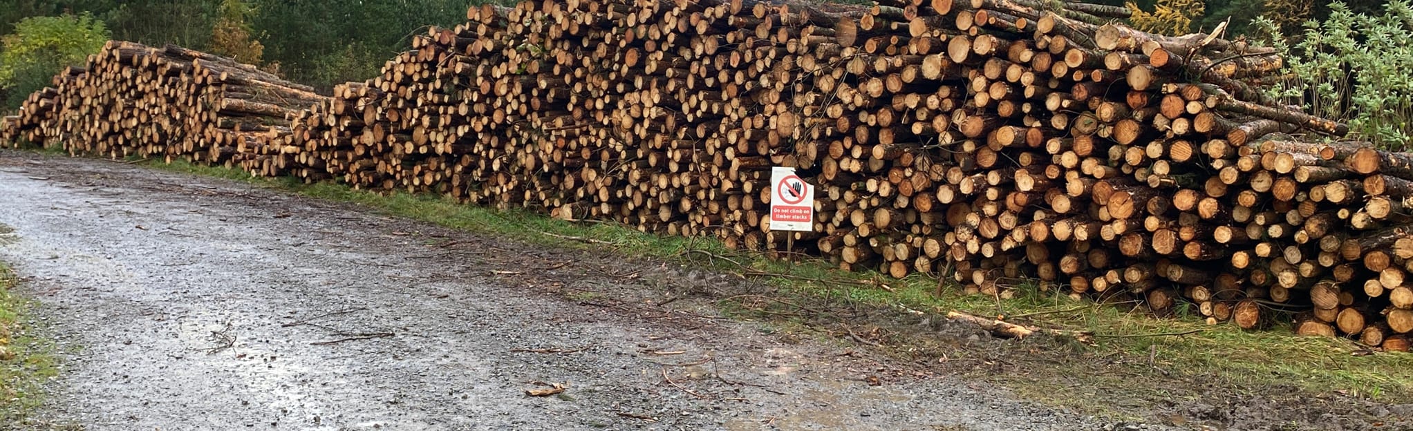 Coatham Stob Forest Circular, North Yorkshire, England - 23 Reviews ...