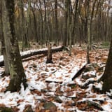 Spring Hill Yellow and Blue Loop Trail, Massachusetts - 236 Reviews ...