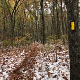 Spring Hill Yellow and Blue Loop Trail, Massachusetts - 236 Reviews ...