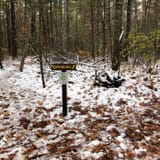 Spring Hill Yellow and Blue Loop Trail, Massachusetts - 236 Reviews ...