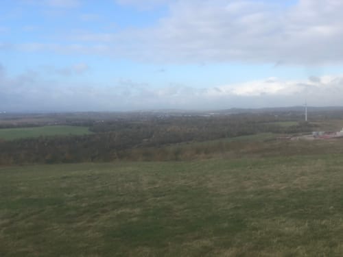 Best Hikes and Trails in Grimethorpe Nature Reserve | AllTrails