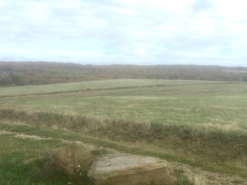 Best Hikes and Trails in Grimethorpe Nature Reserve | AllTrails