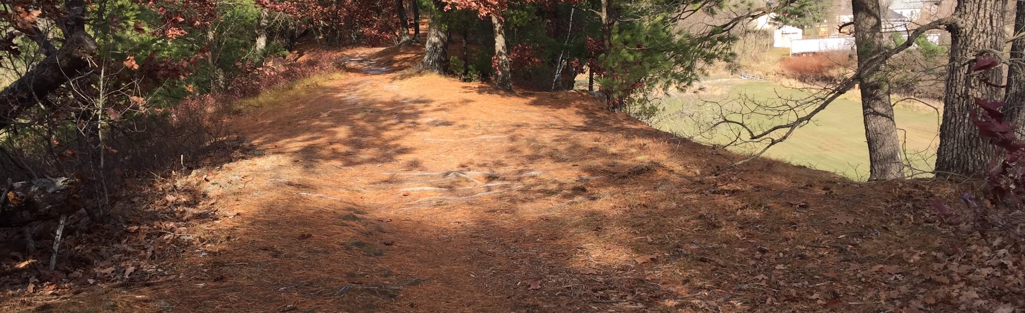 Pier Natural Bridge, Wisconsin - 30 Reviews, Map | AllTrails