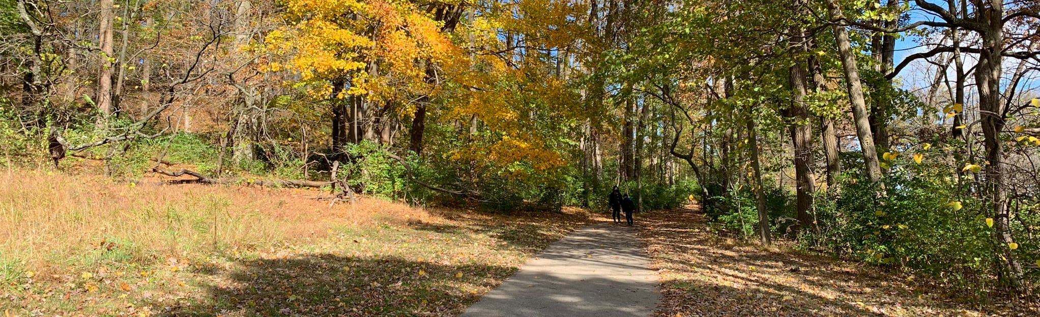 Mount Joy Trail, Pennsylvania - 992 Reviews, Map | AllTrails