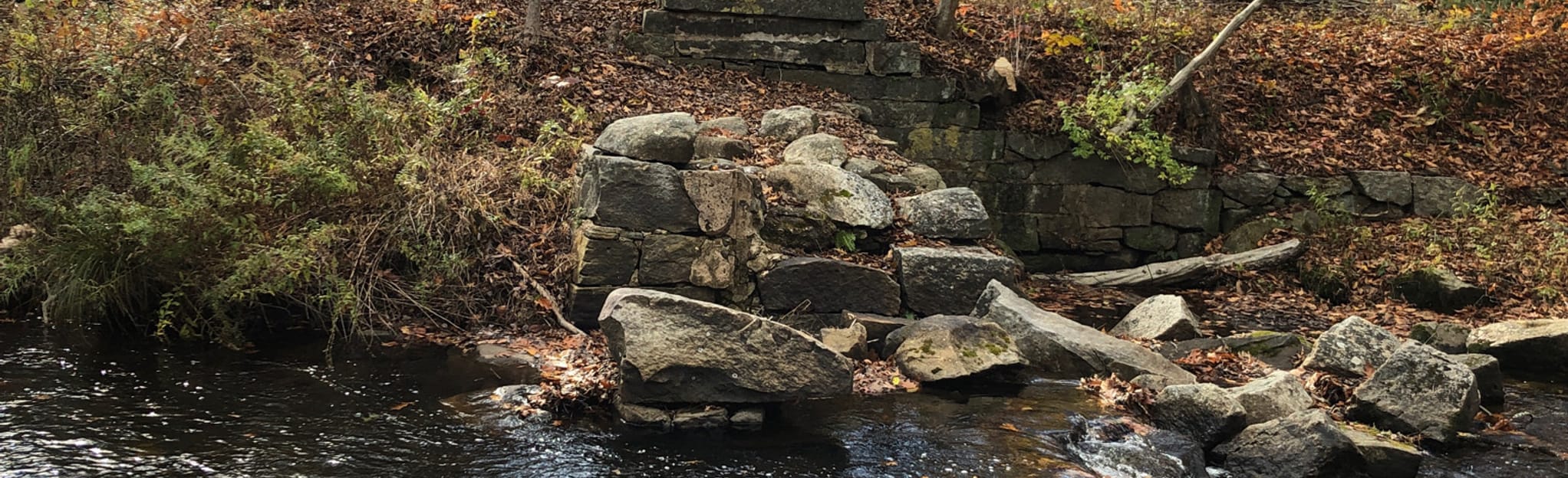 Hidden Valley Farm Preserve Trail: 21 Reviews, Map - Connecticut ...