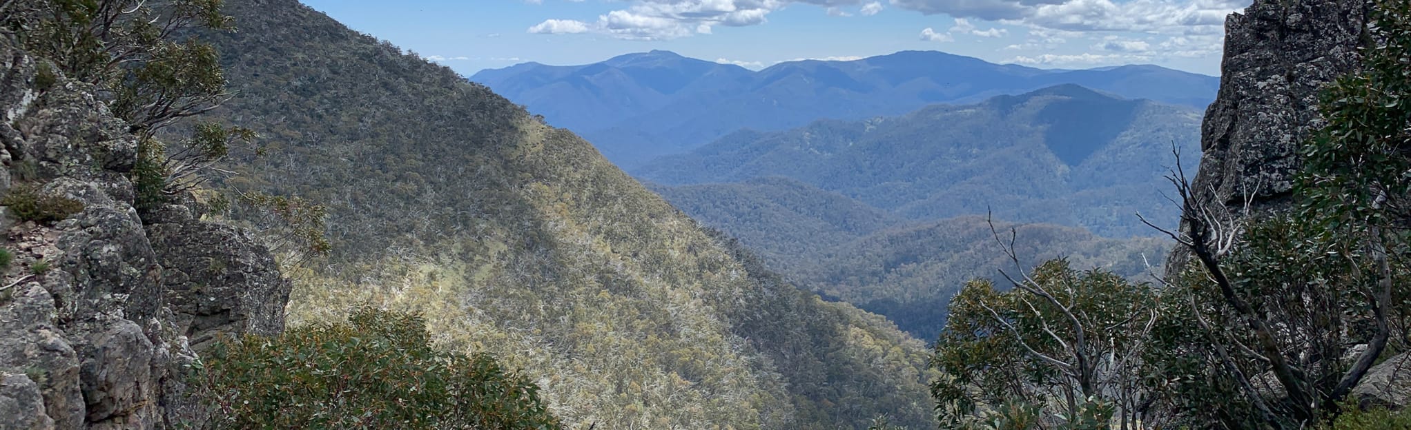 Mount Magdala Loop, Victoria, Australia - 9 Reviews, Map | AllTrails