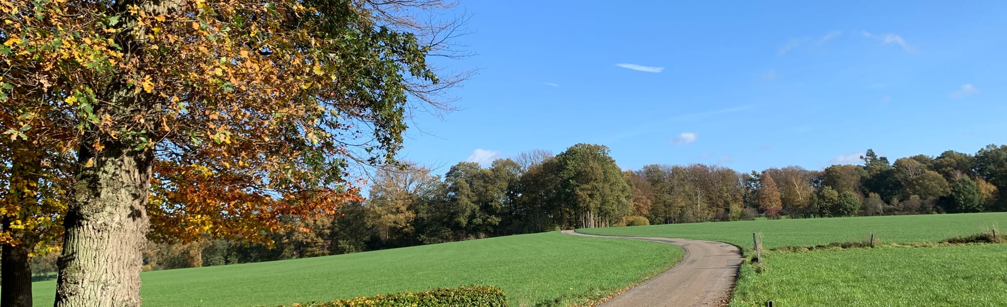 Tankenberg Oranje Wandelroute: 112 foto's - Overijssel, Nederland ...