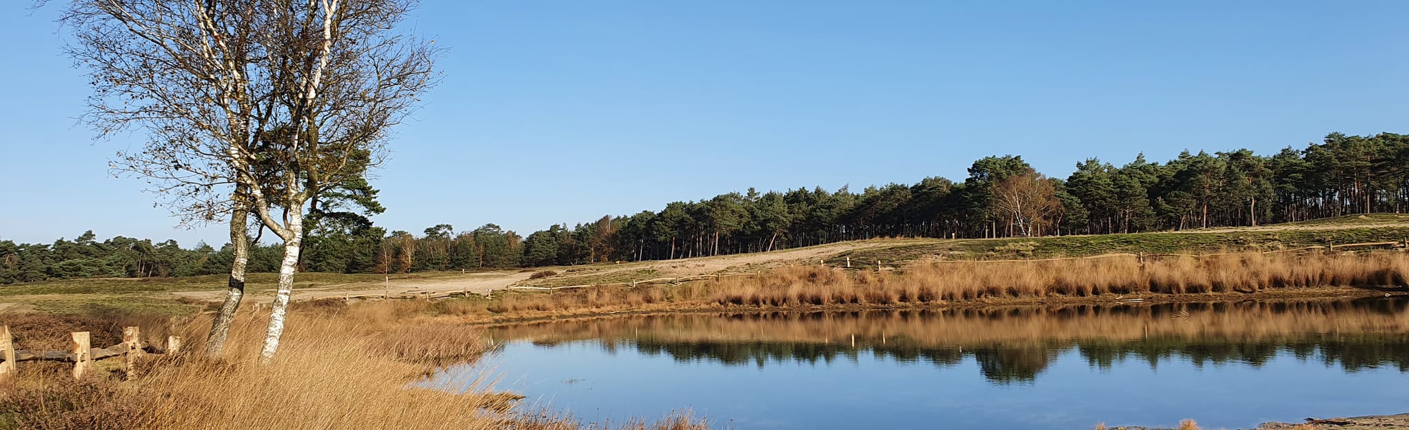 NS Verlengde Heuvelrug Trail: 7 Reviews, Map - Utrecht, Netherlands ...